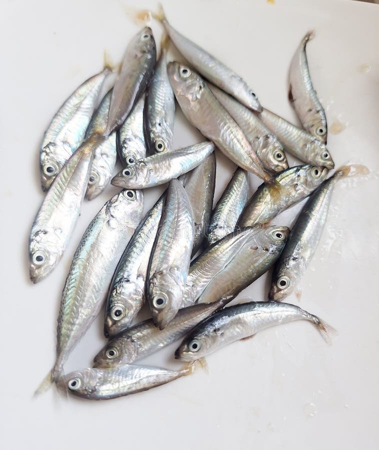 Indonesia, March 21 2024, Sea Fish Which is Often Processed To Make ...