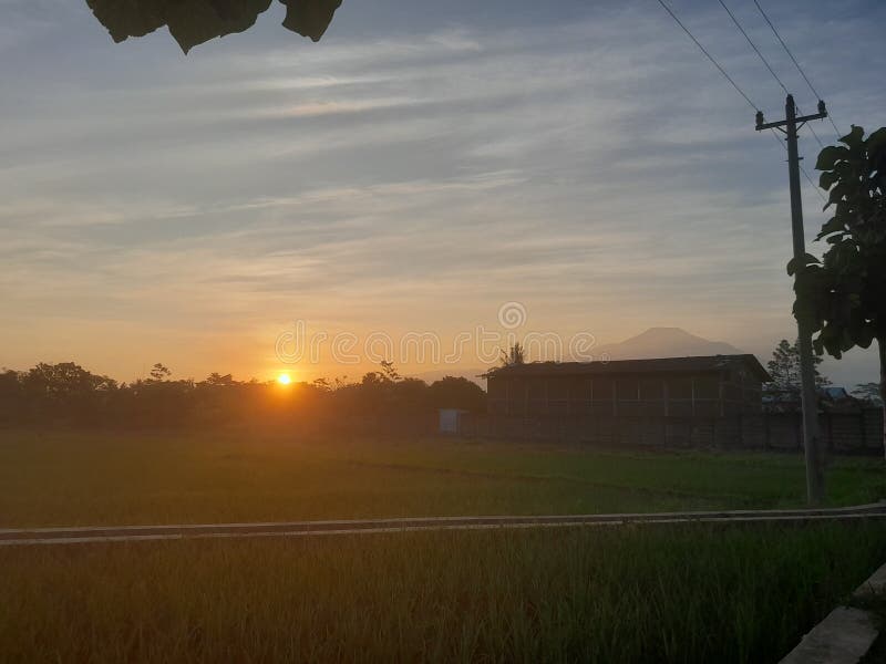 Indonesia Rice Field View with a Mountain in Central Java Stock Image ...