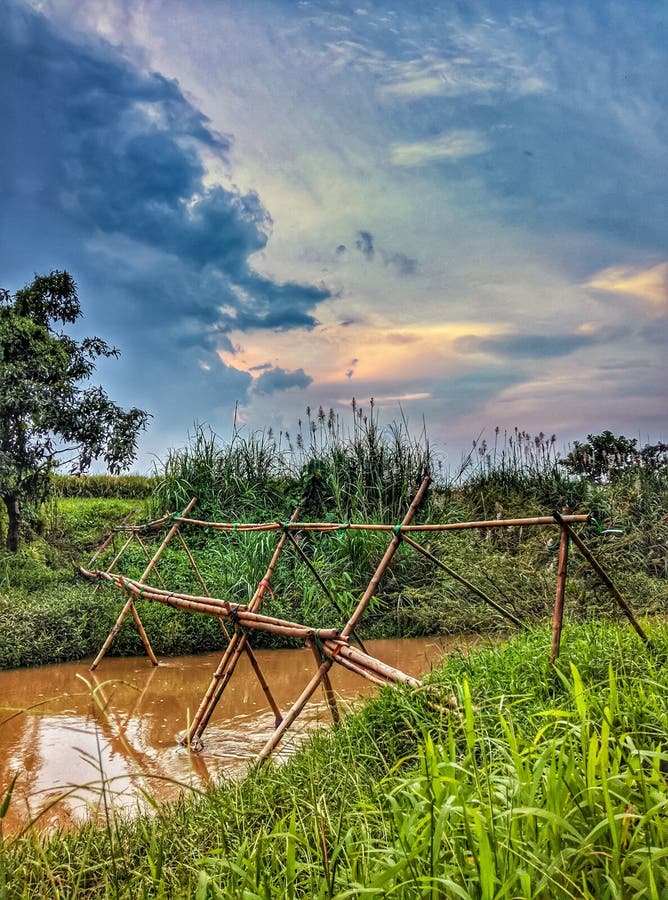 Indonesian Bambu Bridge on the River at Rice Field Stock Photo - Image ...