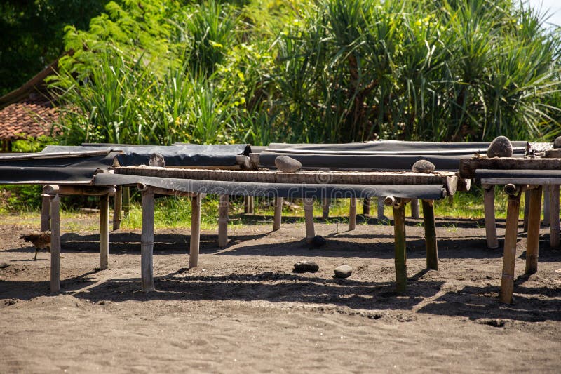 Indonesian Black Volcano Salt Making Stock Photo - Image of indonesian ...