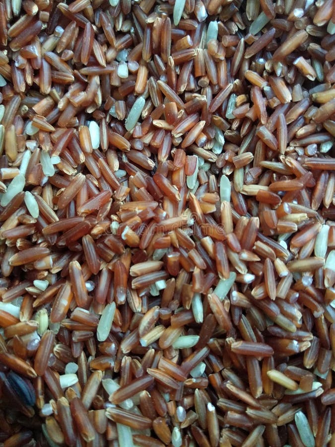 Indonesian brown rice stock image. Image of produce - 260649439
