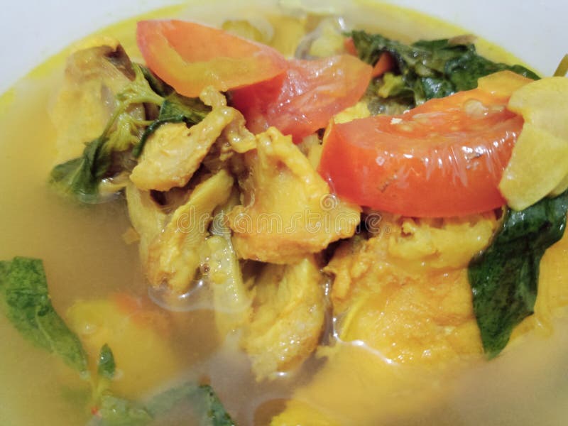 Indonesian Buginese Salmon stock image. Image of fish - 263249155