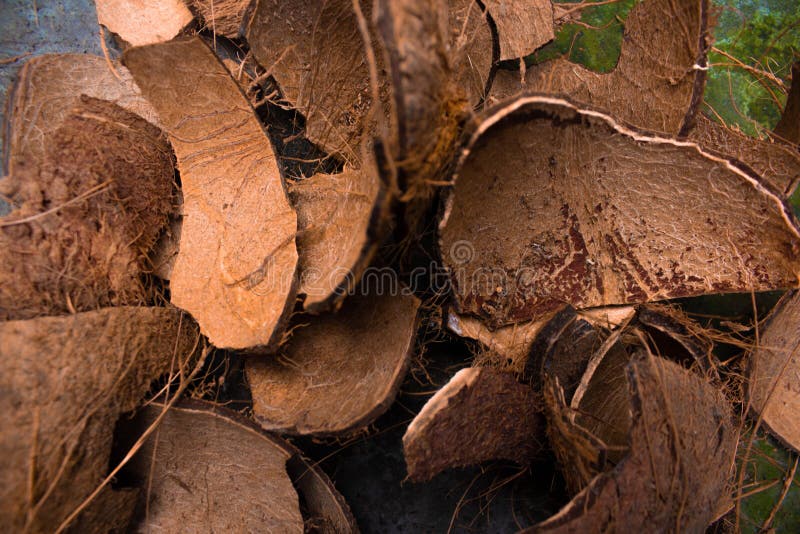Indonesian coconut shell stock image. Image of trunk - 226134535