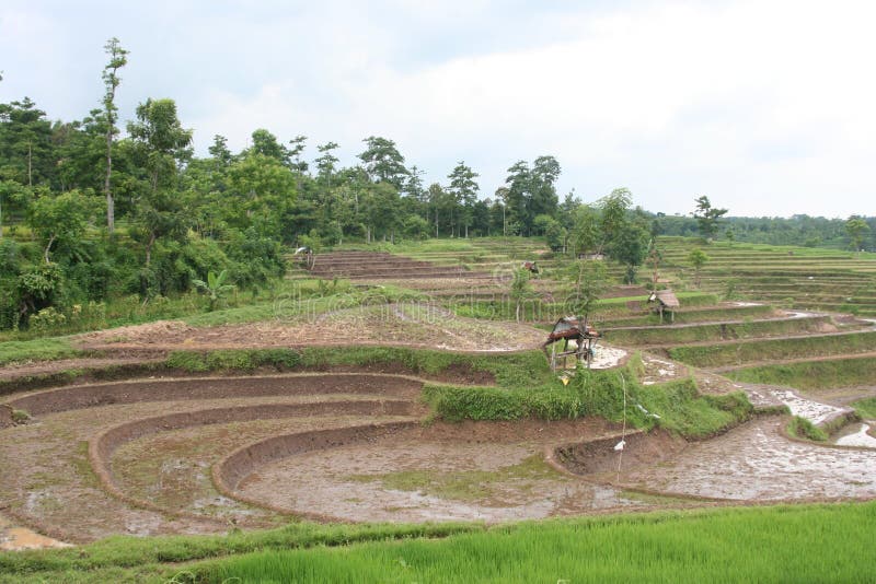 Indonesian countryside stock photo. Image of sight, tourism - 66896246