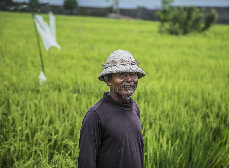 Indonesian Farmer editorial stock image. Image of asia - 46990919