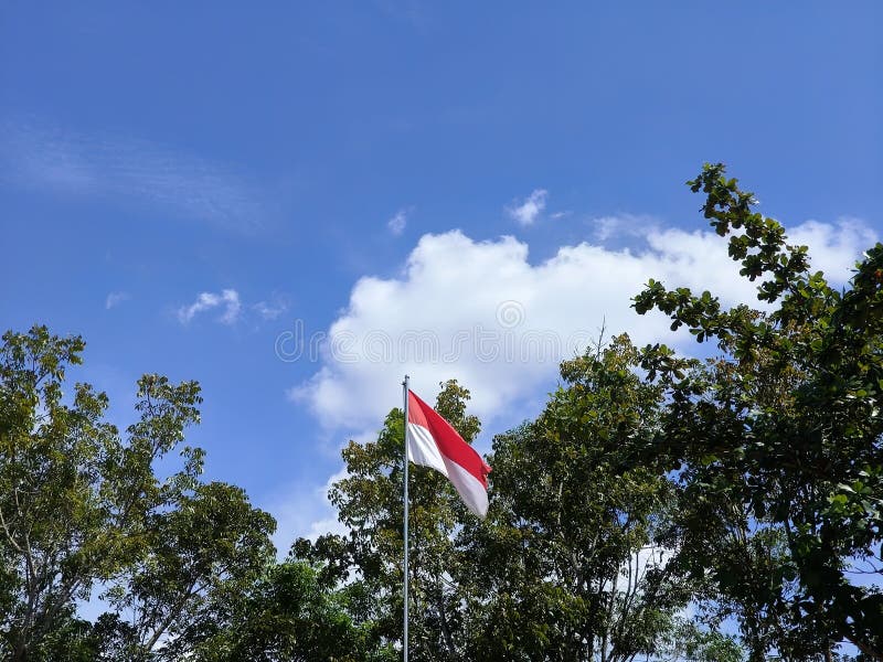 The Indonesian Flag Flies in the Air Stock Image - Image of leaf, flag ...