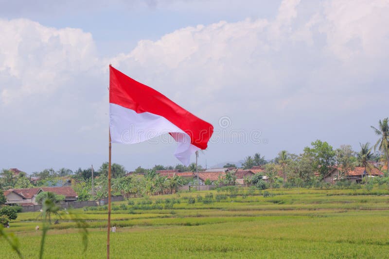 103 Green Grass 77 Stock Photos - Free & Royalty-Free Stock Photos from ...