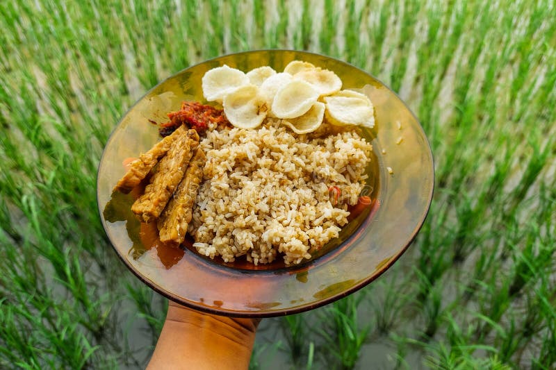 Indonesian Food - Fried Rice and Side Dishes Stock Image - Image of ...