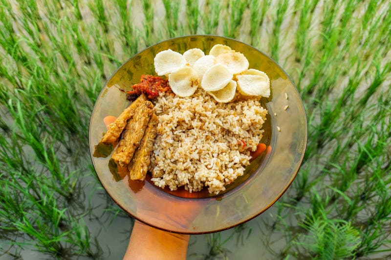 Indonesian Food - Fried Rice and Side Dishes Stock Photo - Image of ...