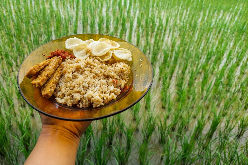 Indonesian Food - Fried Rice and Side Dishes Stock Image - Image of ...