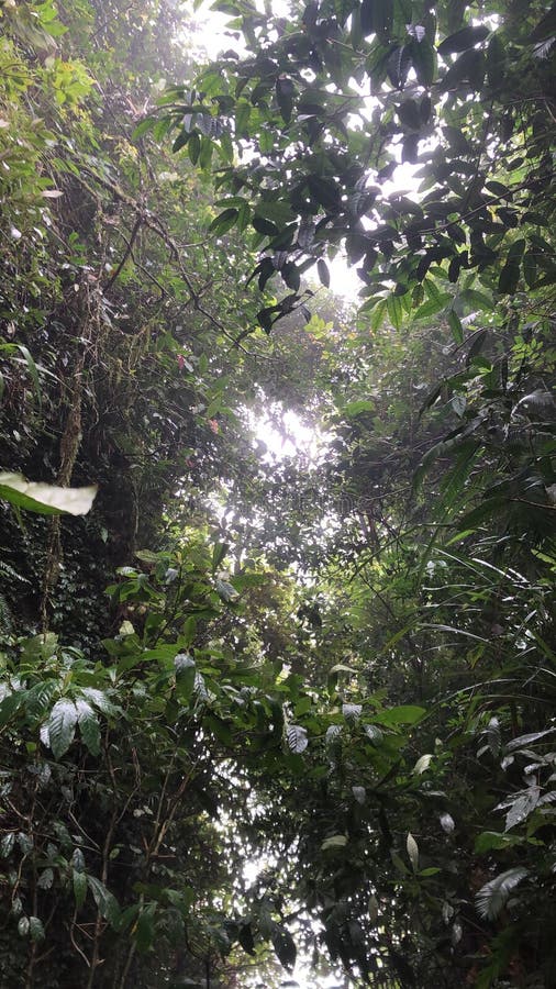 Sepalawan Cave Stock Photos - Free & Royalty-Free Stock Photos from ...