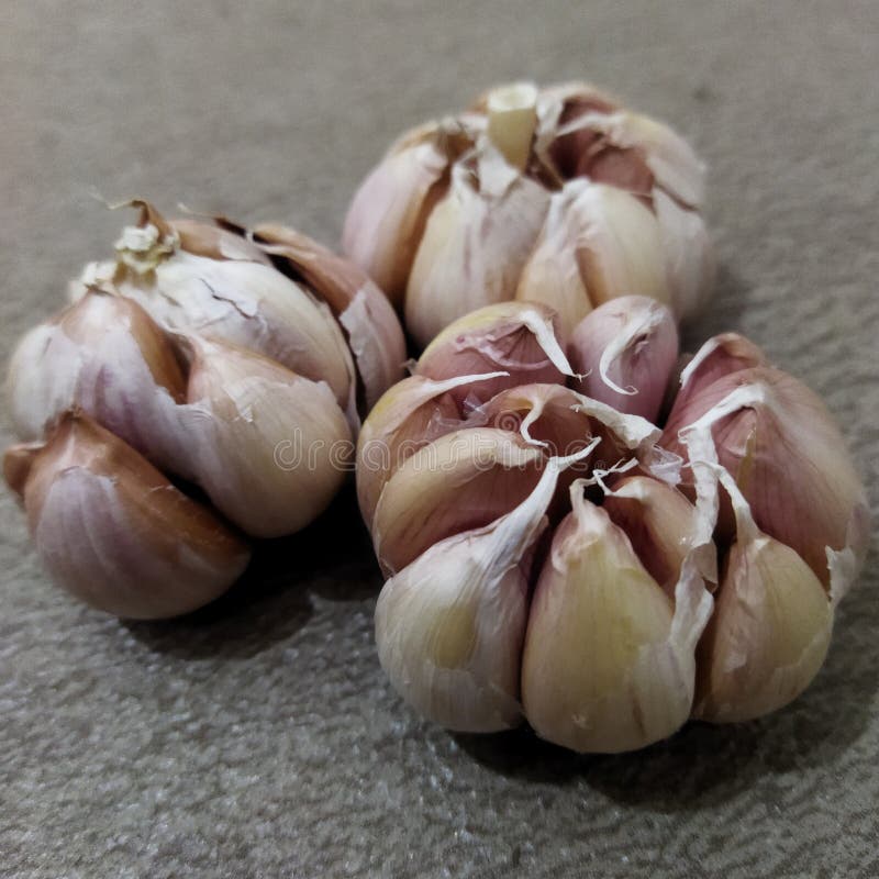 Indonesian fresh garlic stock photo. Image of carving - 292124430