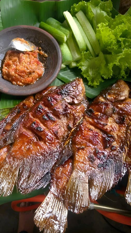 Indonesian Grilled Fish with Sambal Stock Image - Image of produce ...