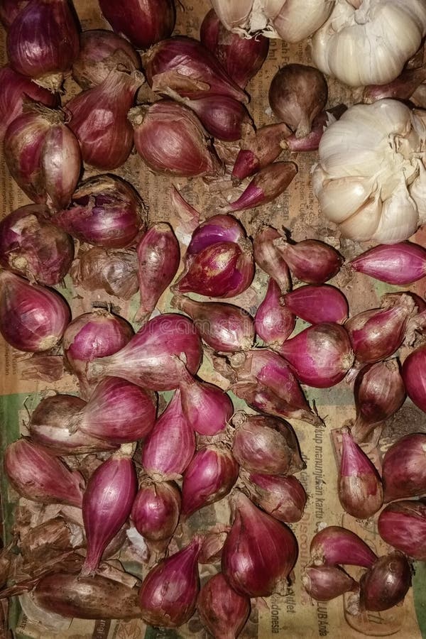 Indonesian Ingdient Local Stock Photos - Free & Royalty-Free Stock ...