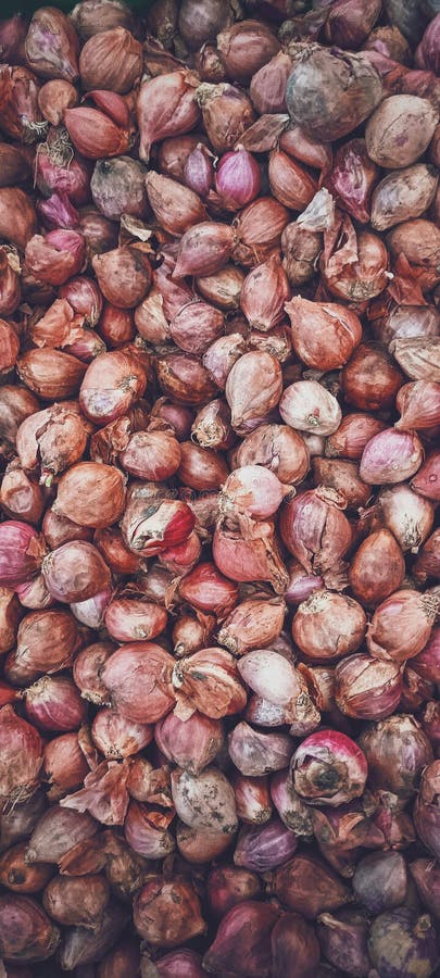 Indonesian Local Shallots at the Supermarket Stock Image - Image of ...