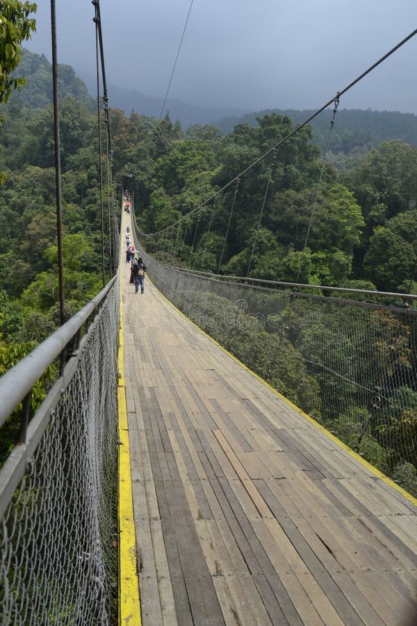 Indonesian longest bridge stock image. Image of indonesian - 262655303