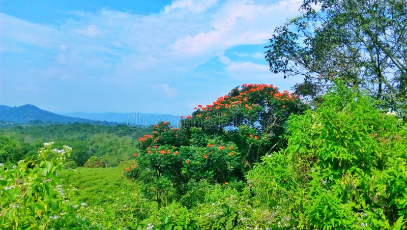 Indonesian Mountain at West Java Provinces Stock Photo - Image of hill ...