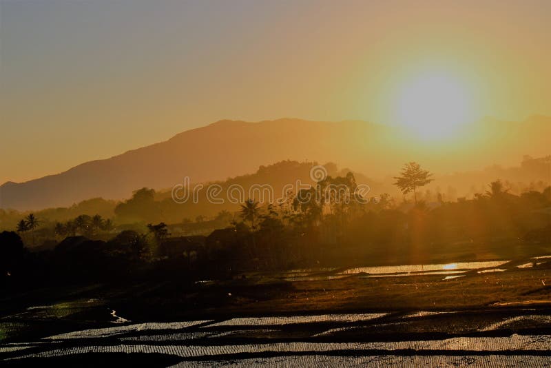 Indonesian Nature in Cipanas, West Java Stock Photo - Image of rises ...