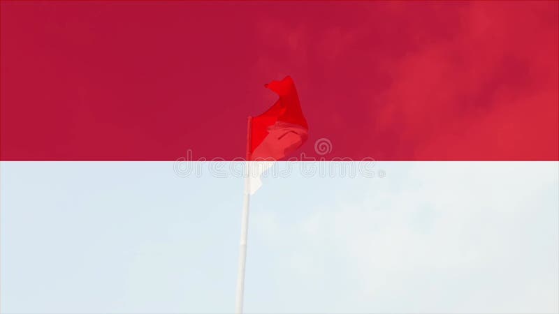 Indonesian Red and White Flag Flying on a Bamboo Pole Stock Footage ...