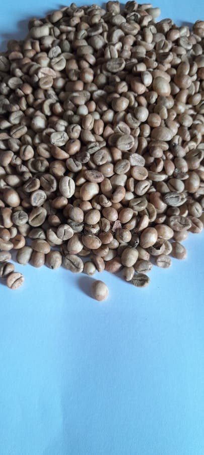 Indonesian Robusta Coffee Beans Komercial Grade Stock Image - Image of ...