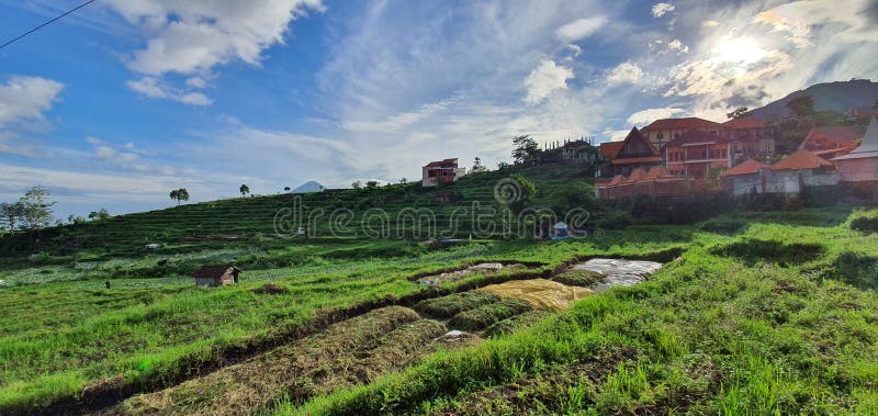 Indonesian Rural Environment Stock Photo - Image of pacet, tree: 200192640