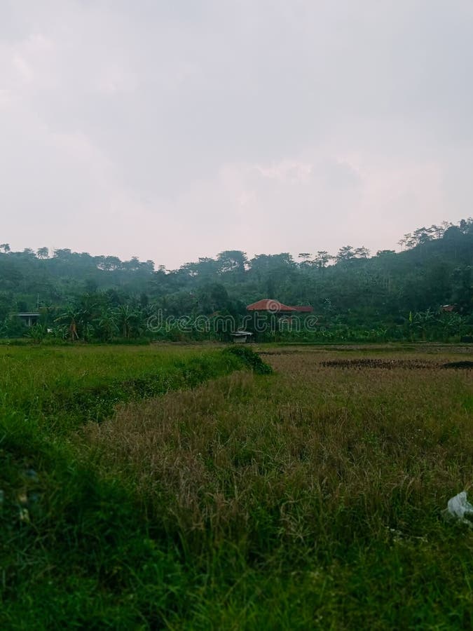 6,660 Indonesian Rural Nature Stock Photos - Free & Royalty-Free Stock ...