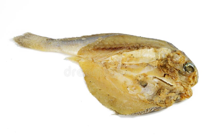 Indonesian Salted Fish stock photo. Image of sole, seafood - 97095496