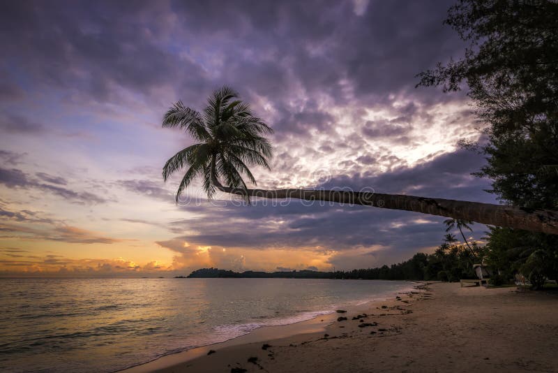 Indonesian Sunset stock image. Image of palm, holiday - 54017537
