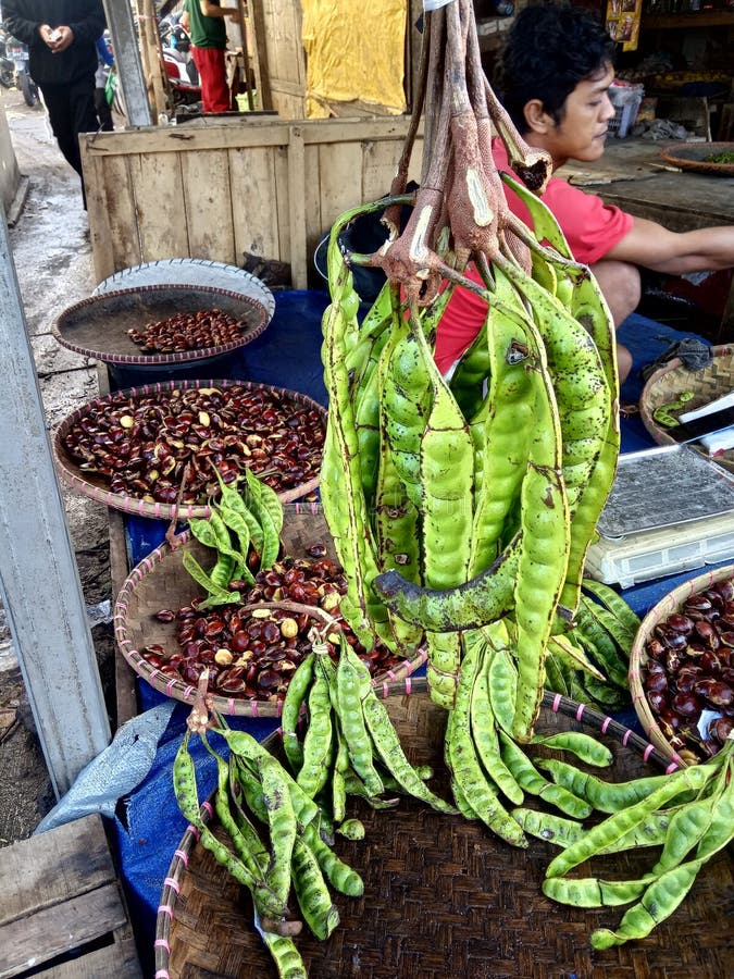 Indonesian Vegetable Called Petai Which is Likes by Some People ...