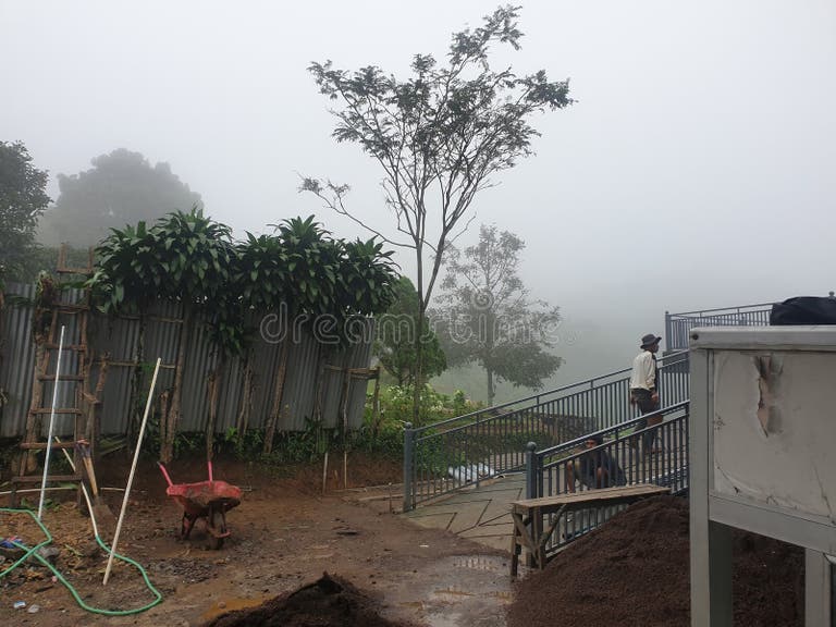 Indonesian Worker Work after Raining Stock Photo - Image of forest ...
