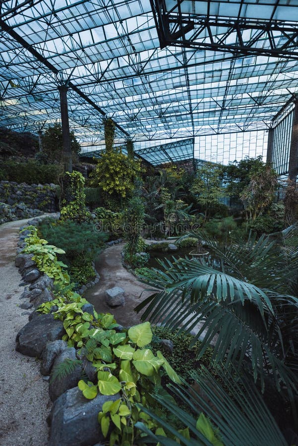 Indoor Botanical Garden with a Multitude of Tropical Plants Around a ...