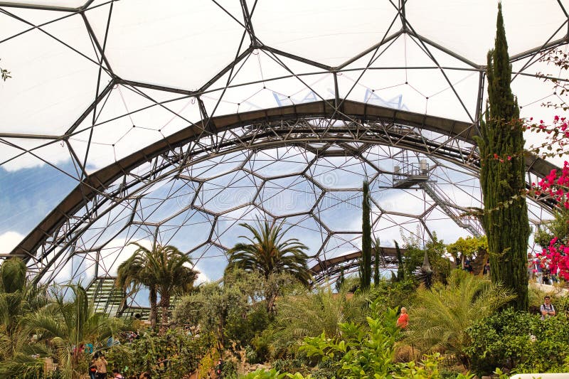 Indoor Botanical Garden Under Geodesic Dome at Eden Project in Cornwall ...