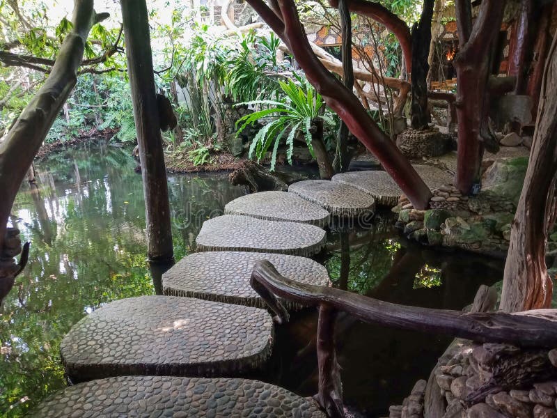 Indoor Design with River and Cave Concept Stock Photo - Image of amazon ...