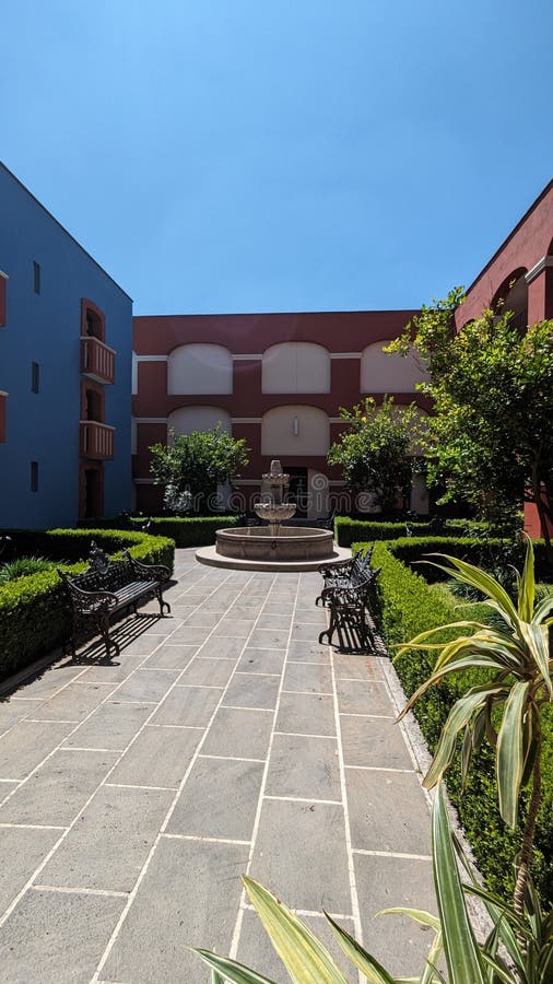 Indoor Garden with Bench and Trees Stock Photo - Image of tree, sunny ...