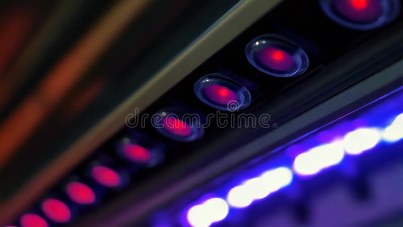 Indoor Lighting Scene with Multiple Light Sources Turned on Stock Video ...