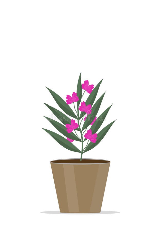 Indoor Plant Flowers in a Pot Green Vector Illustration Stock Vector ...