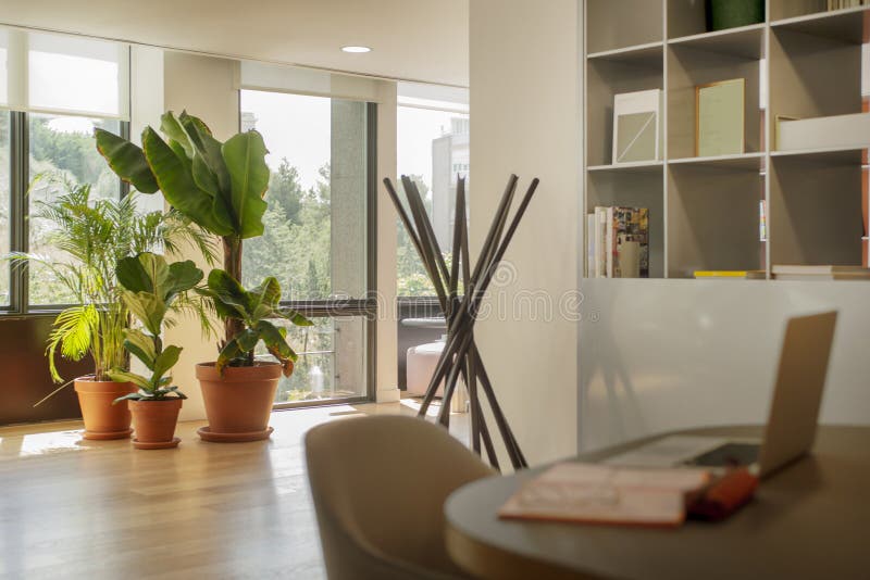 Indoor Plants in an Office with Shelves, Tables and Large Windows with ...