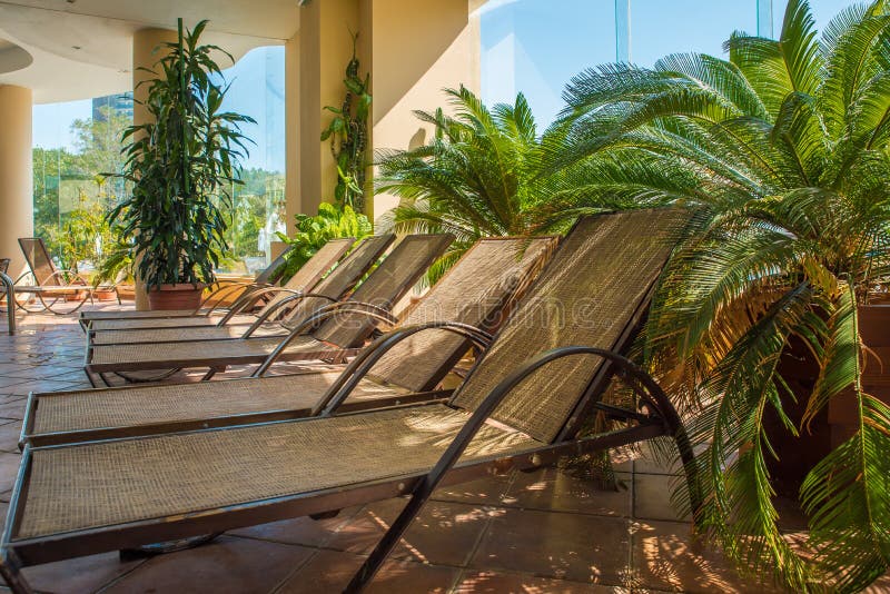 Scenic indoor garden area stock image. Image of flora - 17120761