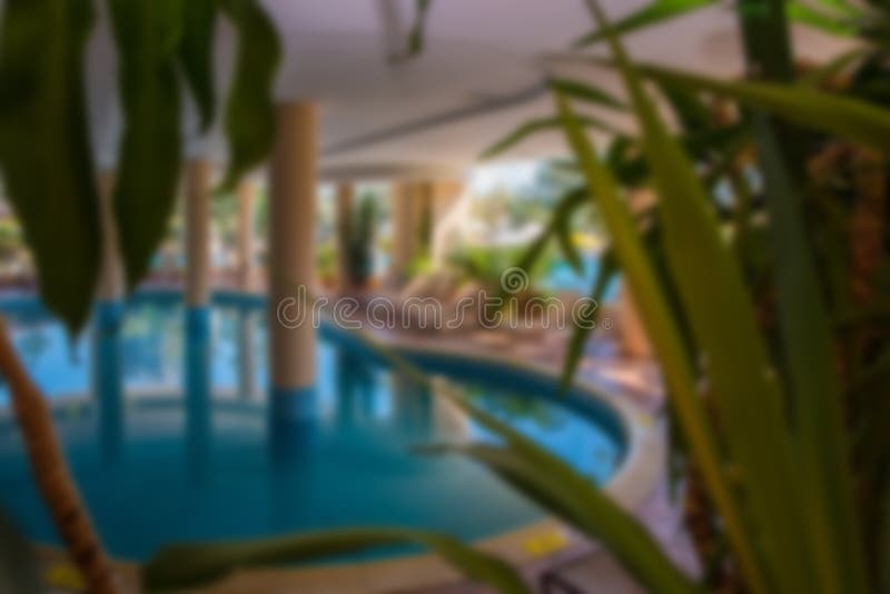 Scenic indoor garden area stock image. Image of flora - 17120761