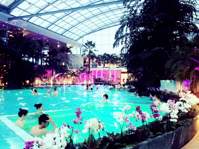 Indoor pool editorial photo. Image of pool, therme, flowers - 70260671