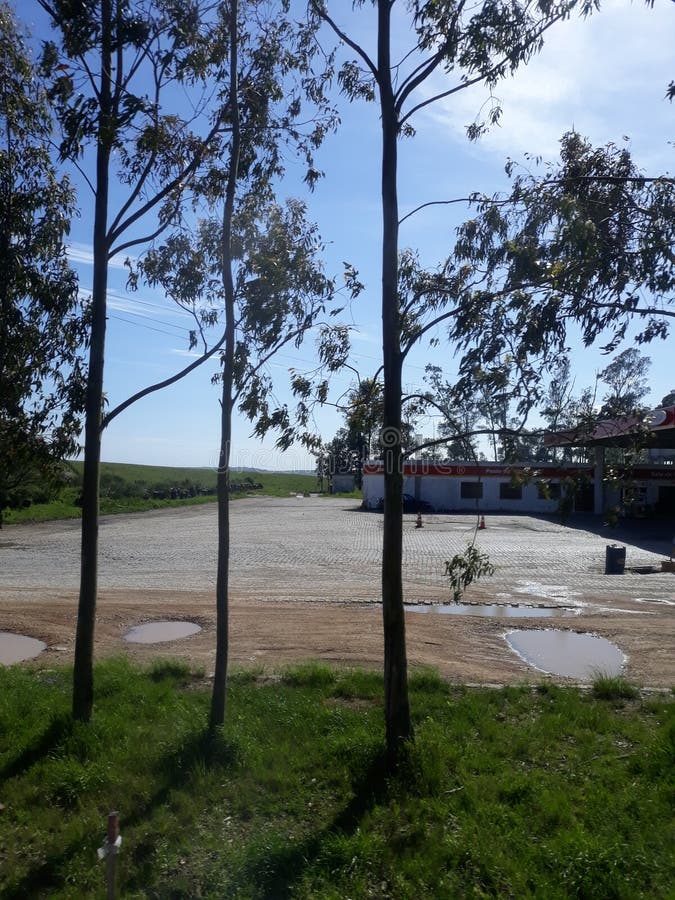 An indoor setting stock photo. Image of ground, setting - 128681228