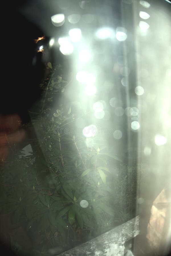 Indoor Shot of Firefly Like Car Headlight Reflections with Bokeh Effect ...