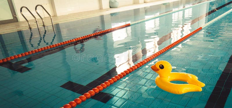 Indoor Swimming Pool with Swim Lanes and Duck Rubber Ring Stock Photo ...