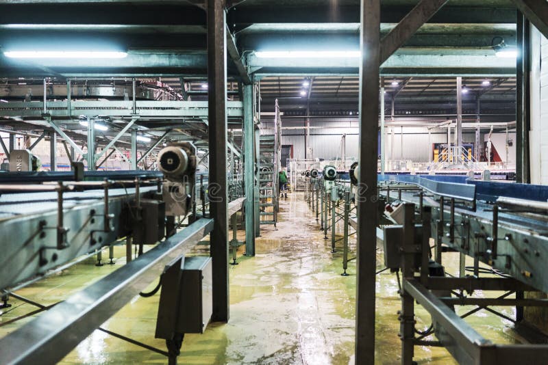 Indoor View of Beverages Factory. Stock Image - Image of cold, brew ...