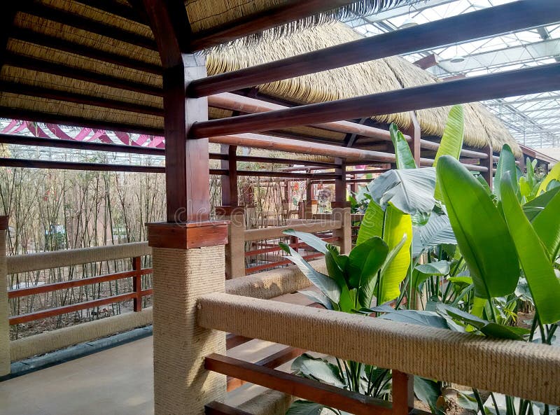 Indoor viewing corridor stock image. Image of garden - 87484439