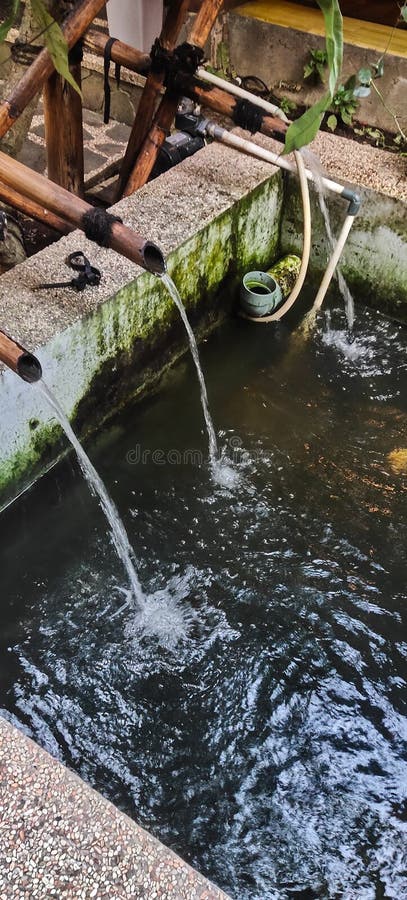 Indoor Water Pool with Fountain Stock Photo - Image of wildlife, canal ...