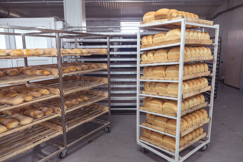 Industrial Baker, Baking Oven Industrial Equipment for Flour Stock ...