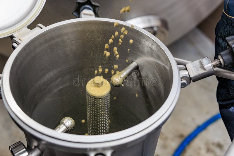 Industrial Beer Brewing Process in Action with Hops Addition Stock ...