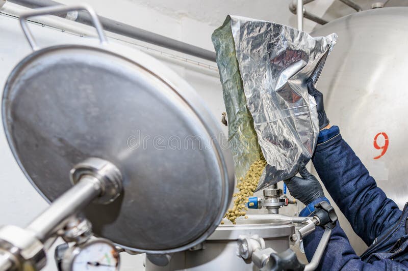 Industrial Brewery Process: Adding Hops To Brewing Equipment for Beer ...