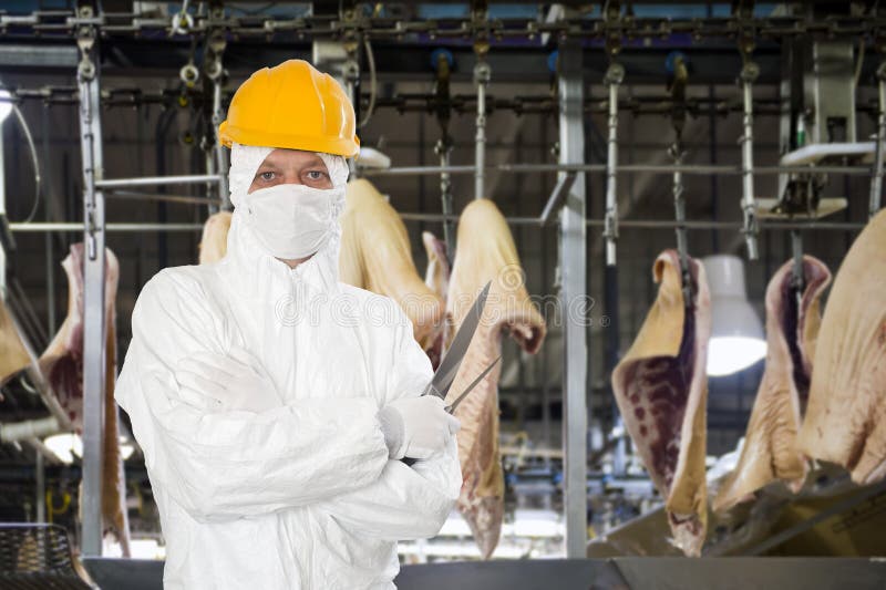 Industrial butcher stock photo. Image of protective, room - 28648898